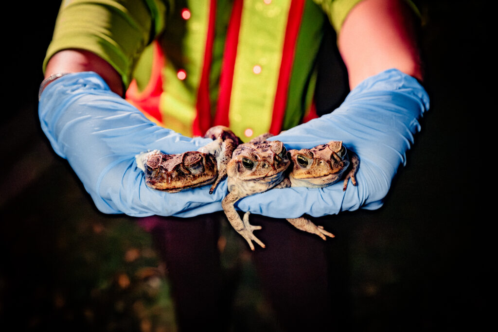 The Mission to Protect Pets from Deadly Invasive Species - Around Boca